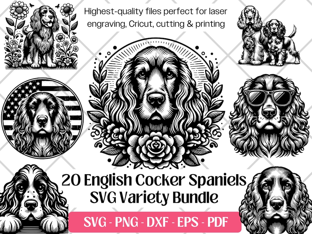 English Cocker Spaniel SVG Bundle, PNG, DXF, Eps, Vector Pdf Cutting ...