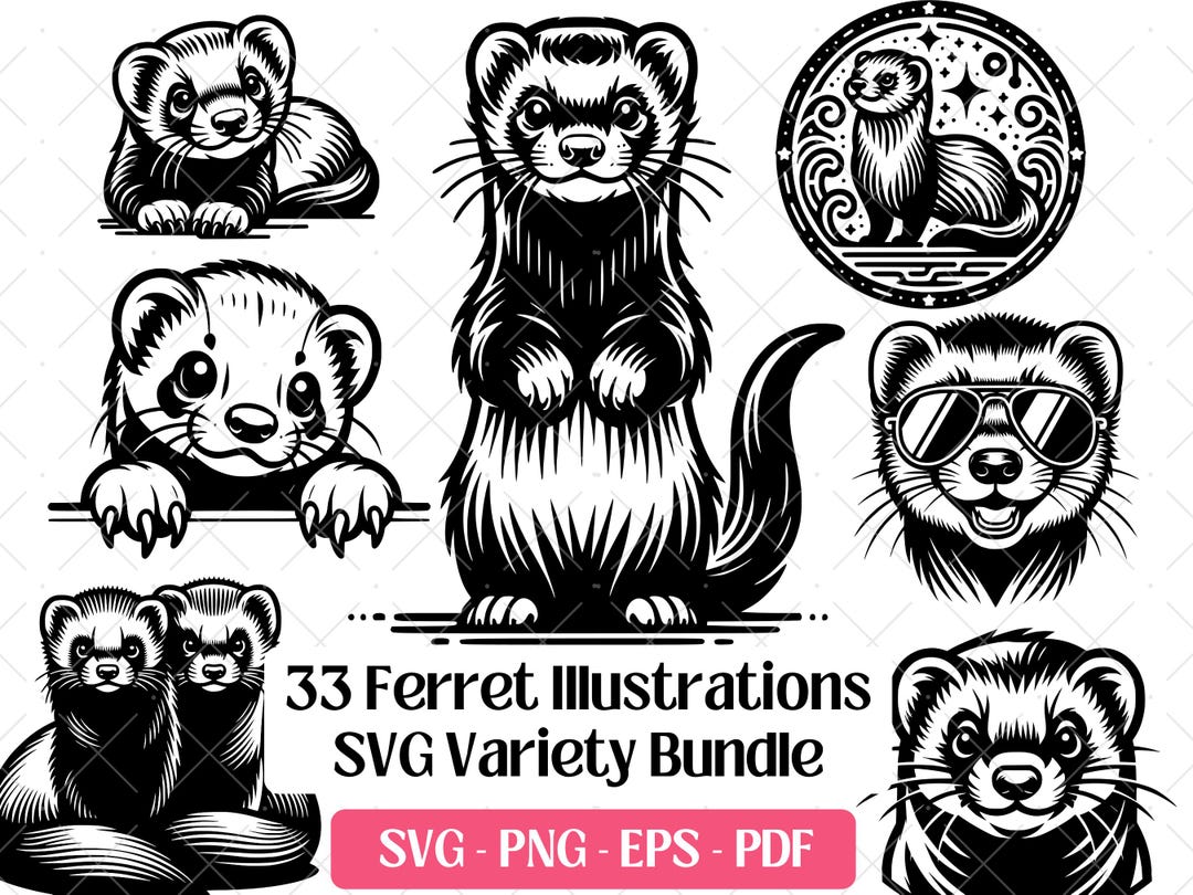 Ferret SVG Bundle · Whimsical Funny Pet Animal Clipart PNG PDF · Cricut ...