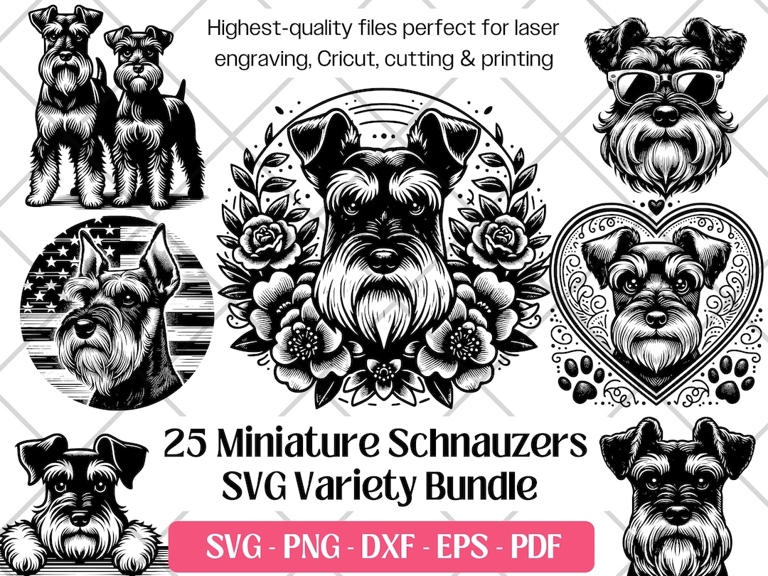 Miniature Schnauzer SVG Bundle, Vector, PNG, Dxf, Eps,pdf, Cutting ...
