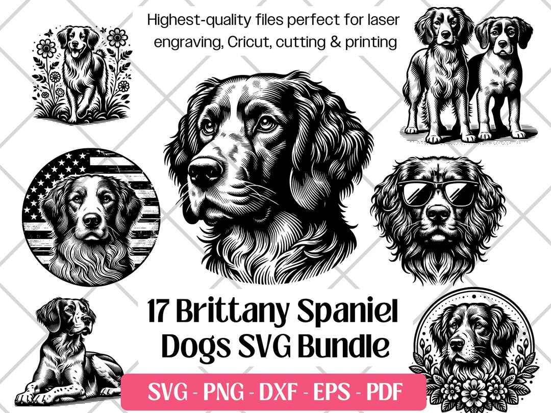 Brittany Spaniel SVG Bundle, Cute Dog Vector, PNG, DXF, Eps,pdf Cutting ...