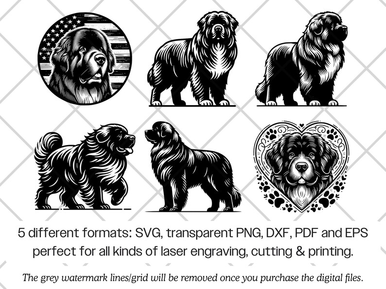 Newfoundland Dog SVG Bundle · Newfie Giant Fluffy Clipart PNG · Cricut ...