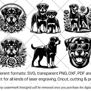 Rottweiler SVG Bundle, Vector, PNG, DXF, Eps, Pdf Cutting and Laser ...