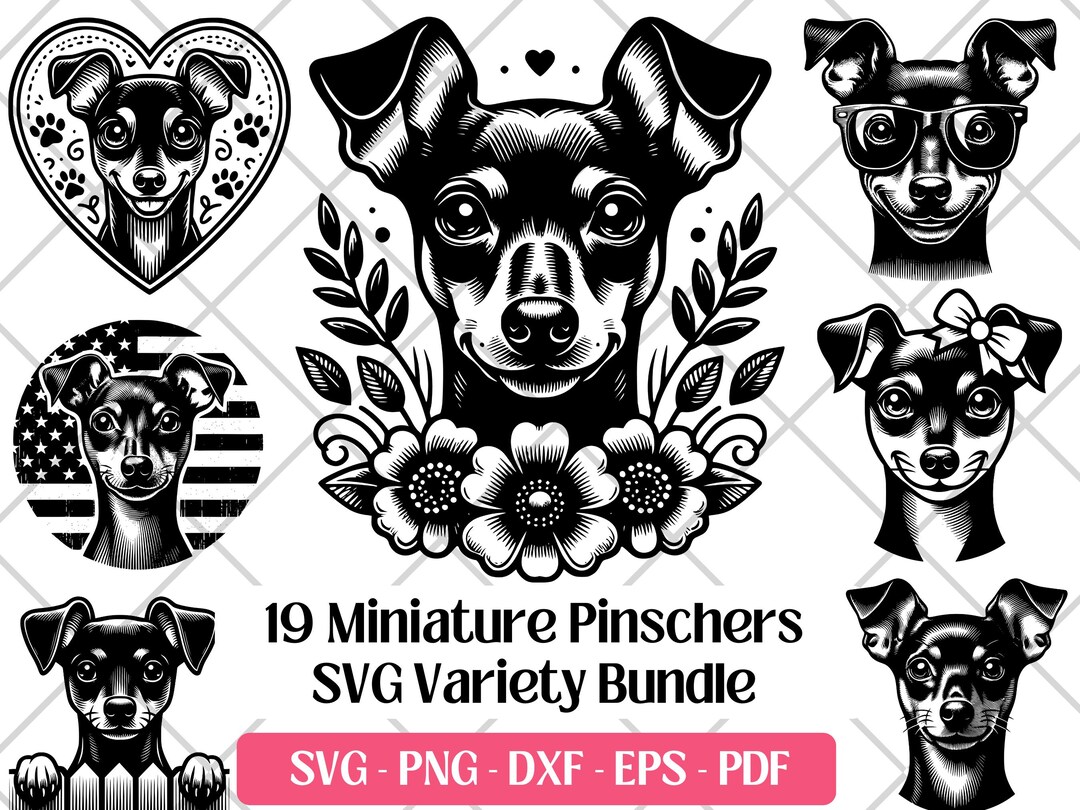 Miniature Pinscher SVG Bundle, Vector, PNG, DXF, Eps, Pdf Cutting and ...