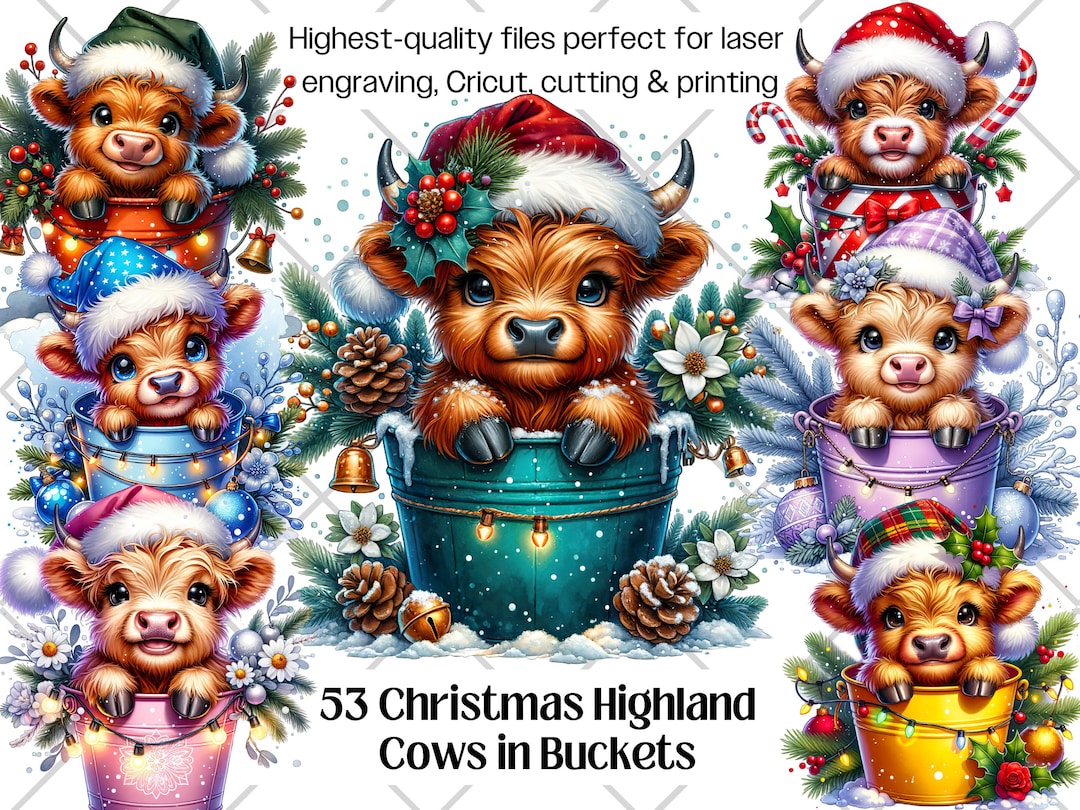 Christmas Highland Cows PNG Clipart Bundle, Cute Baby Highland Cows in ...