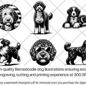 Bernedoodle SVG Bundle, Dog Vector Clipart Png Laser Engraving Cutting ...