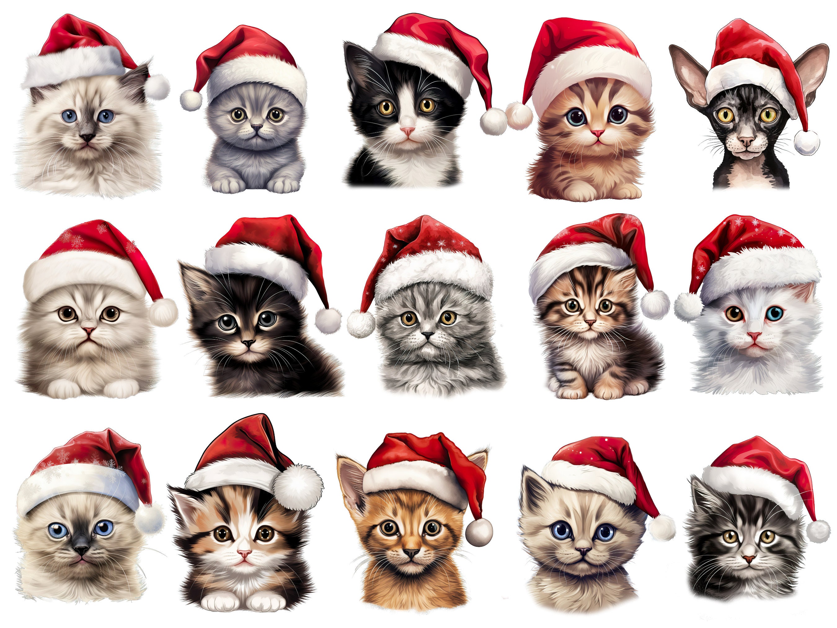 Christmas Cats, 472 Santa Cats and Kittens PNG Clipart Bundle 49 Breeds ...