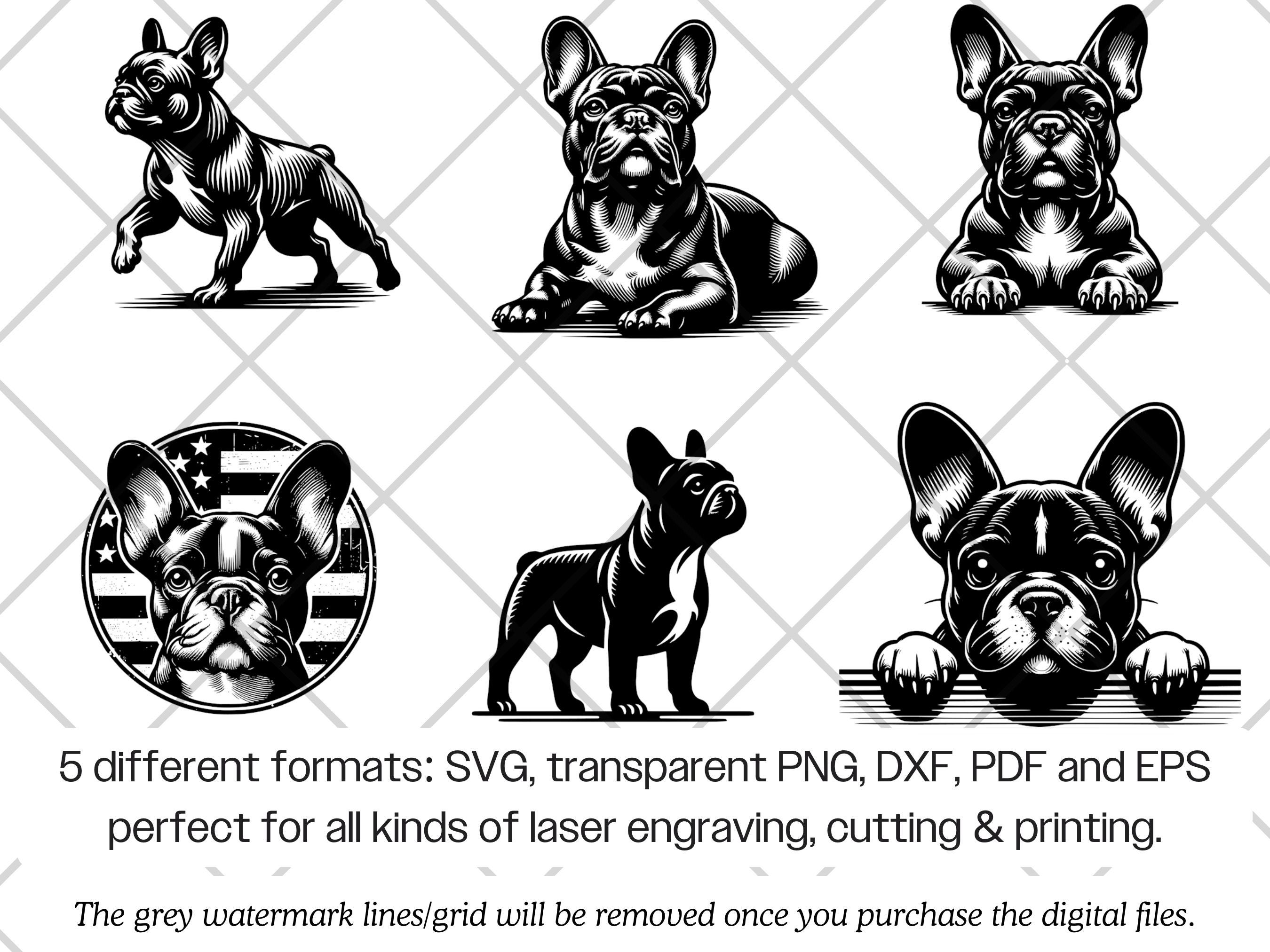 French Bulldog SVG Bundle, Vector, PNG, DXF, Eps,pdf Cutting, Laser ...