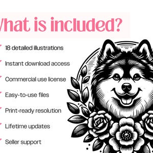 Pomsky SVG Bundle, Vector, PNG, DXF, Eps,pdf Cutting and Laser ...