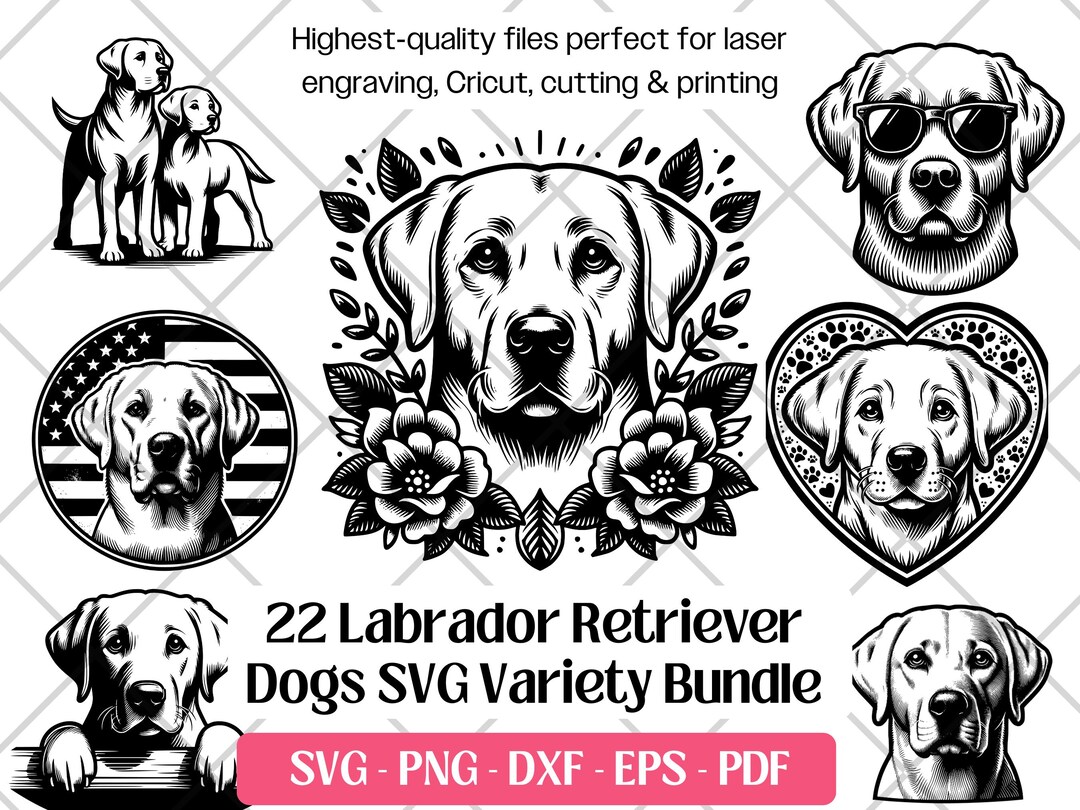 Labrador Retriever SVG Bundle, Vector, PNG, Dxf, Eps,pdf,cutting and ...