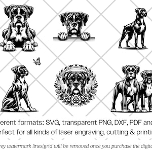 Boxer Dog SVG Bundle, Cute Dog Vector, PNG, DXF, Eps,pdf Cutting and ...