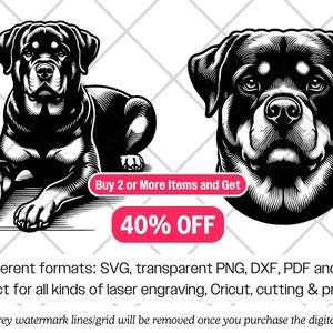 Rottweiler SVG Bundle, Vector, PNG, DXF, Eps, Pdf Cutting and Laser ...