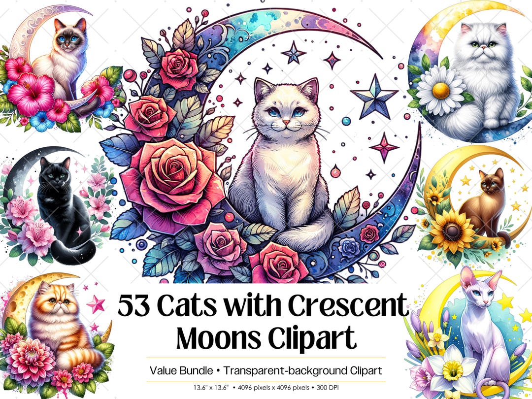 Celestial Cat Crescent Moon Clipart PNG Bundle · Floral Kitten ...