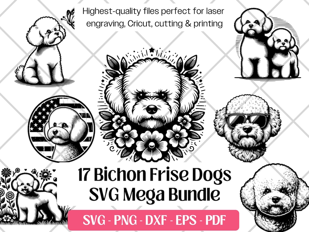 Bichon Frise SVG Bundle, Cute Dog Vector, PNG, DXF, Eps, Pdf Cutting ...