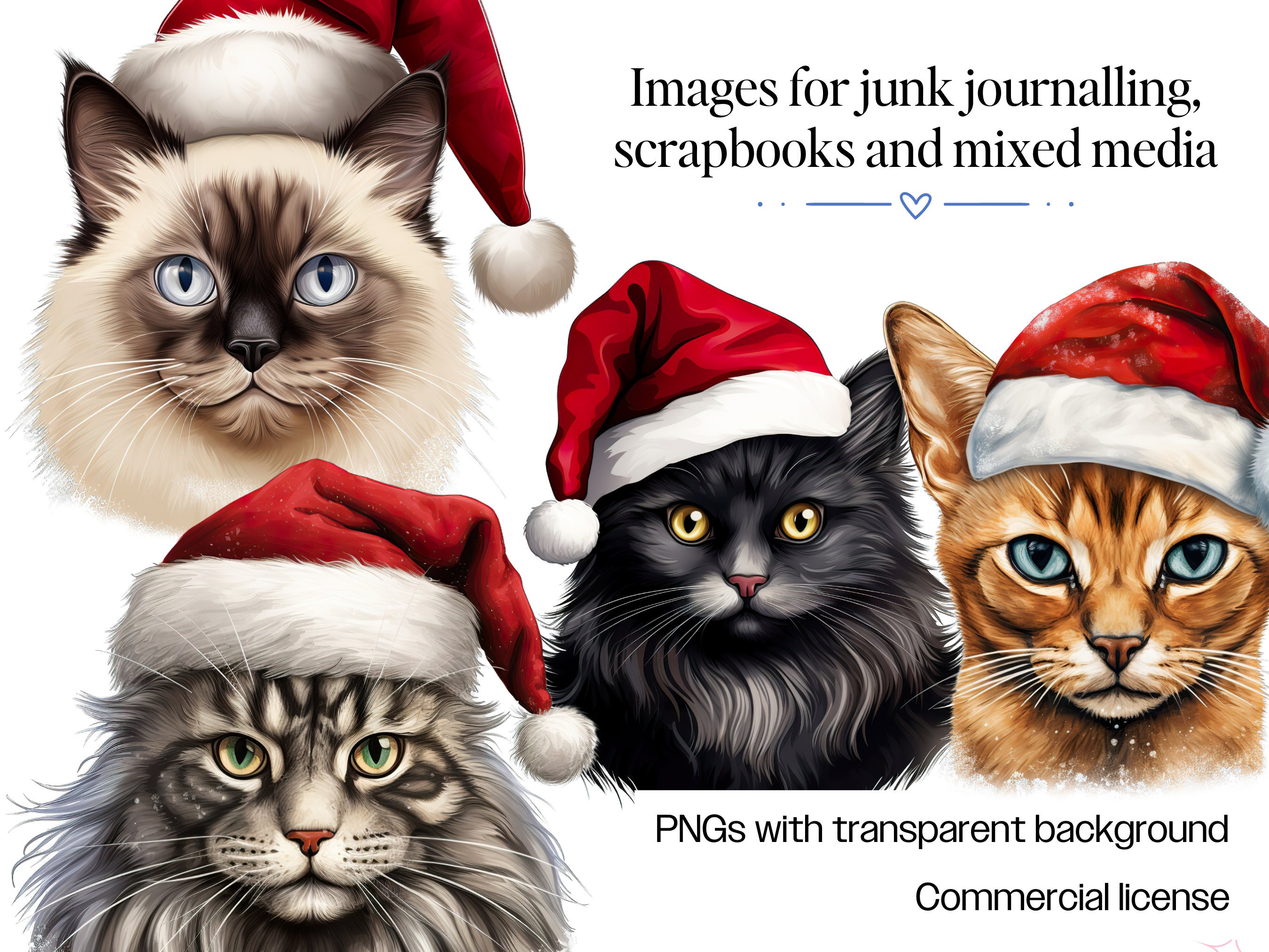 Christmas Cats Clipart Bundle, Kittens in Santa Hats Png Sublimation ...