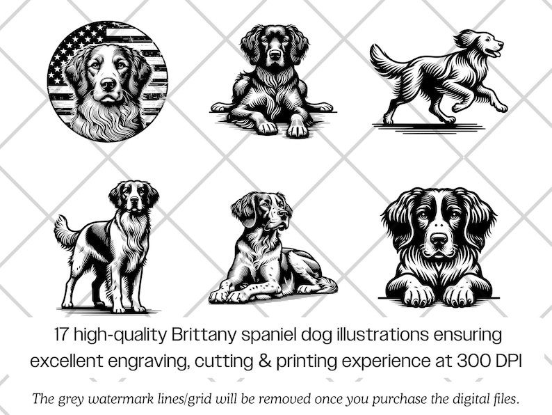 Brittany Spaniel SVG Bundle · Bird Hunting Dog Clipart PNG · Cricut - Etsy