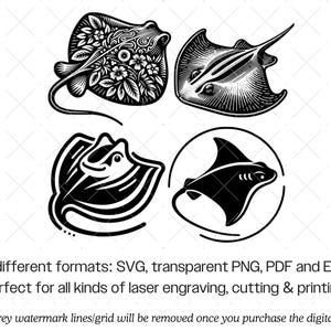 Stingray SVG Bundle · Ocean Marine Sea Animal Clipart PNG PDF · Cricut ...