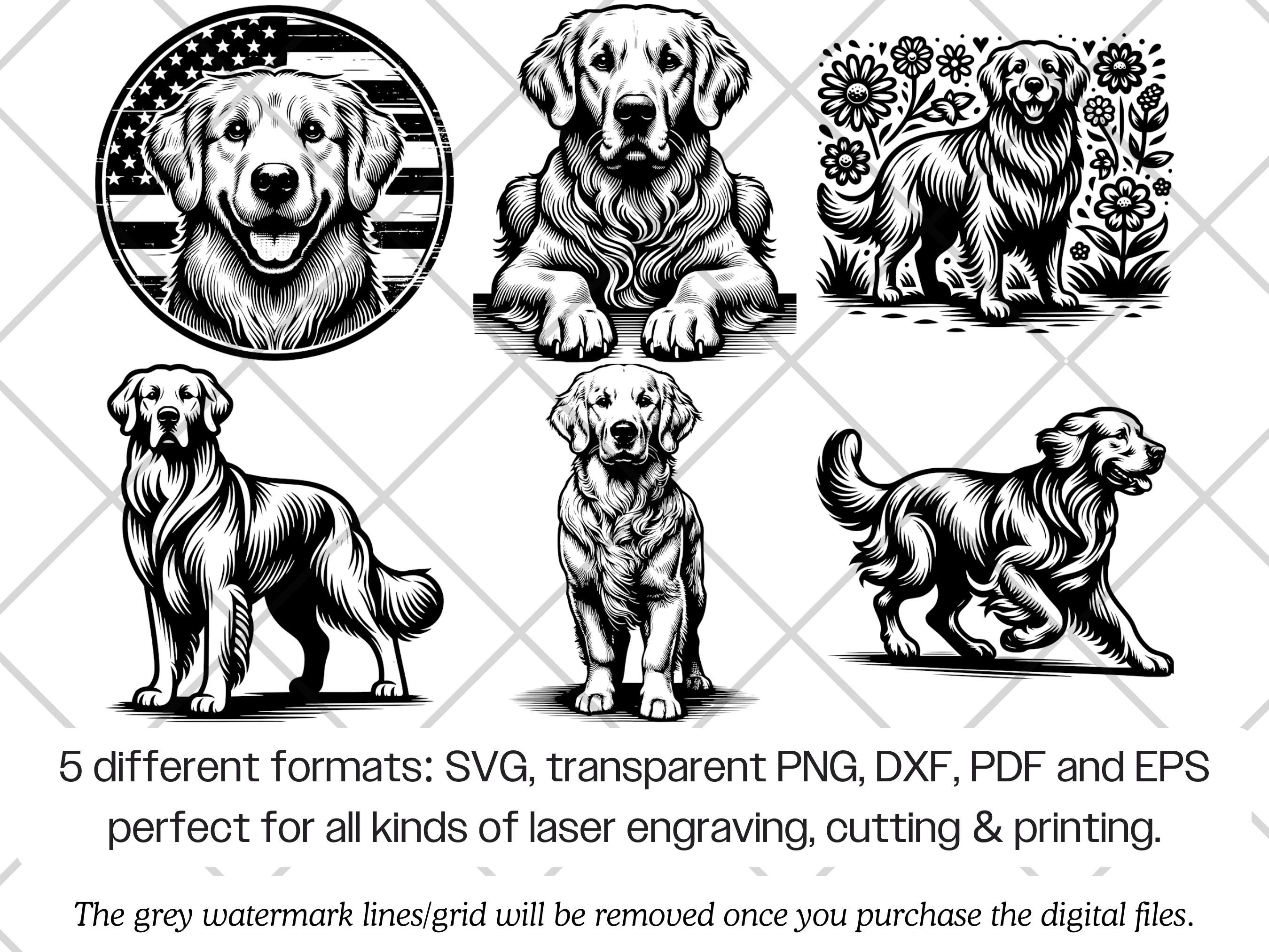 Golden Retriever SVG Bundle, Clipart Png Laser Engraving Cutting Files ...