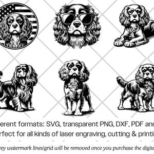Cavalier King Charles Spaniel SVG Bundle, PNG, DXF, Eps, Pdf Cutting ...