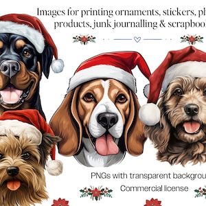 Christmas Dogs, 670 Santa Dogs PNG Clipart Bundle • 111 Breeds ...