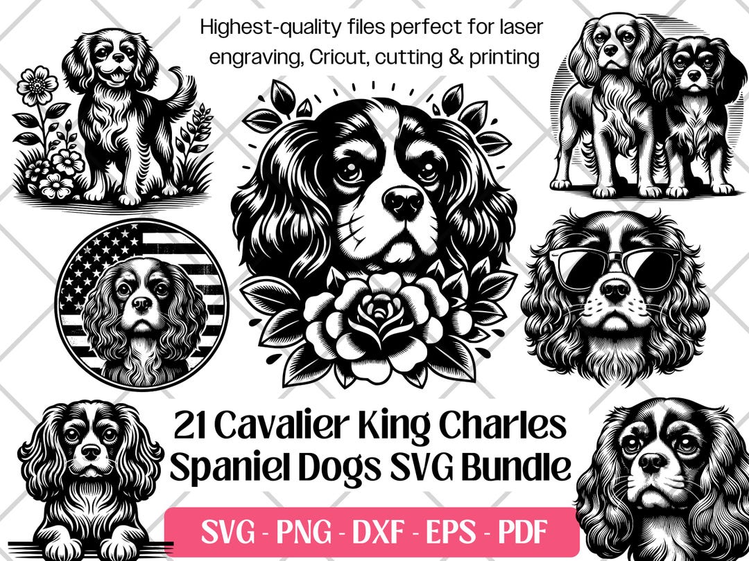 Cavalier King Charles Spaniel SVG Bundle, PNG, DXF, Eps, Pdf Cutting ...