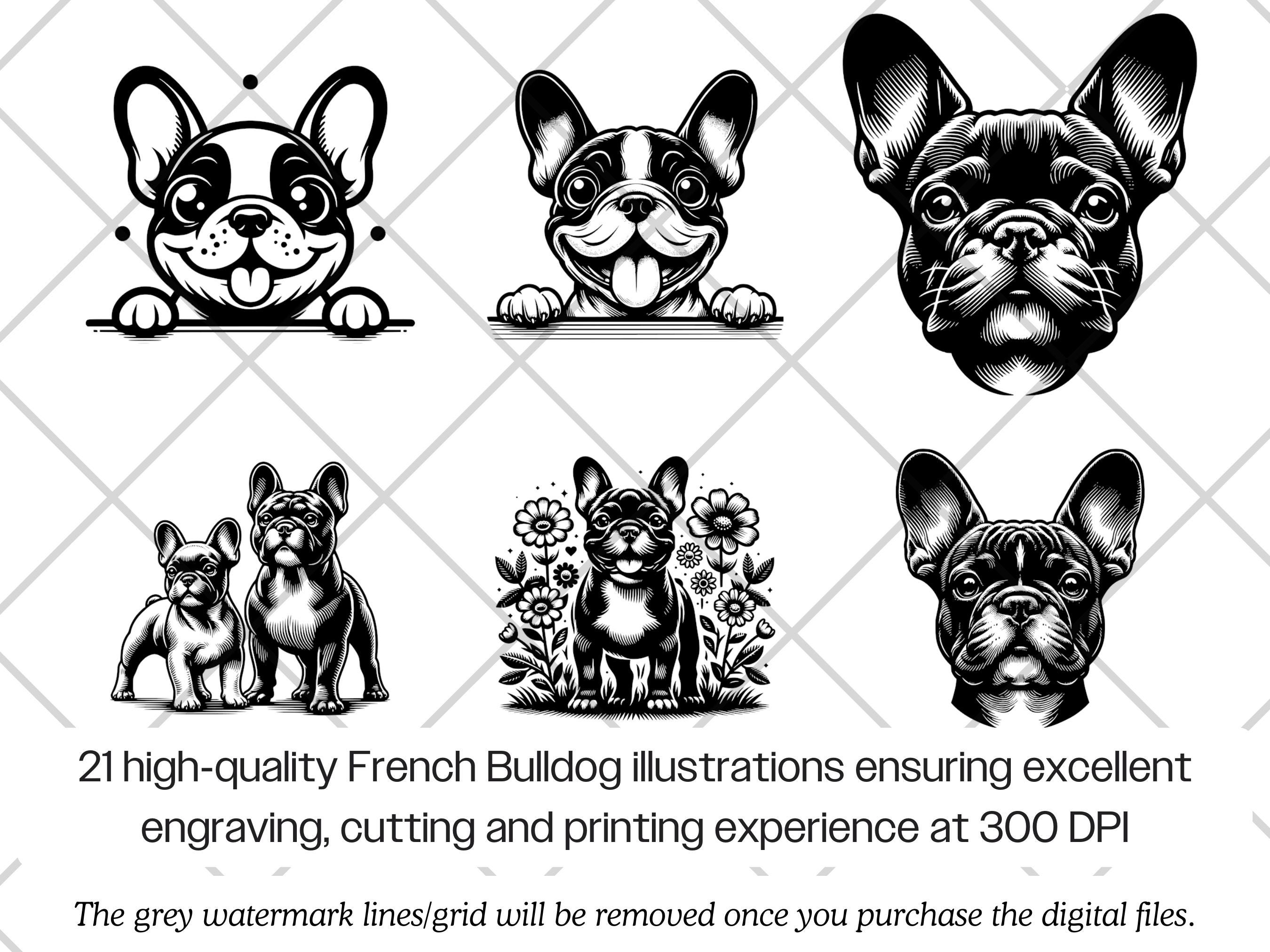 French Bulldog SVG Bundle, Vector, PNG, DXF, Eps,pdf Cutting, Laser ...
