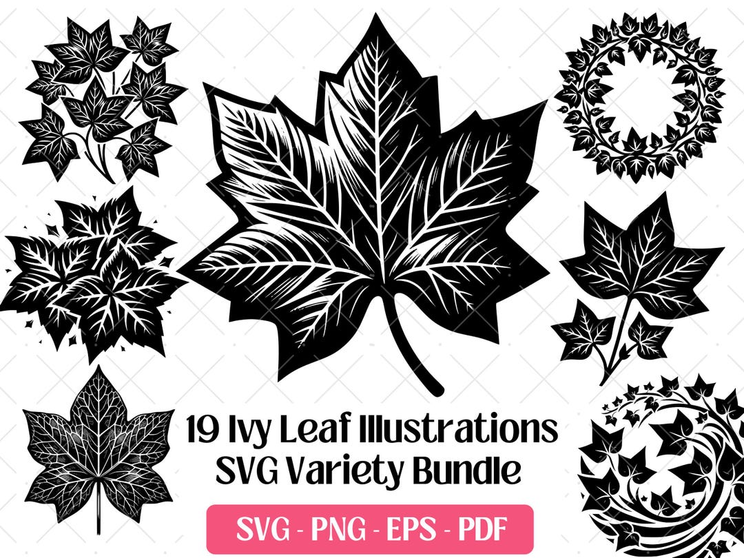 Ivy Leaf SVG Bundle · Botanical Vine Nature Clipart PNG · Cricut Files ...