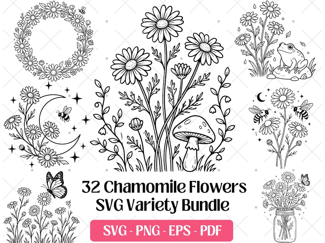 Chamomile SVG Bundle · Floral Wildflower Clipart PNG · Cricut Files - Etsy