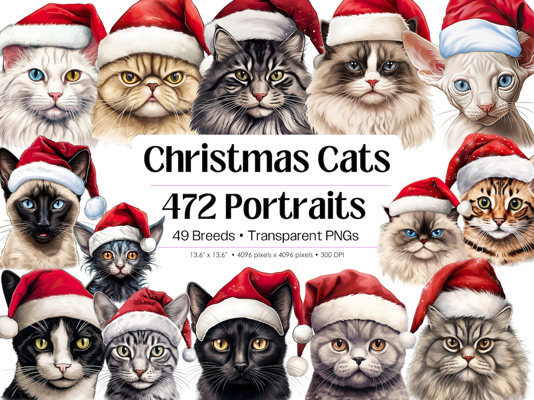Christmas Cats, 472 Santa Cats and Kittens PNG Clipart Bundle • 49 ...