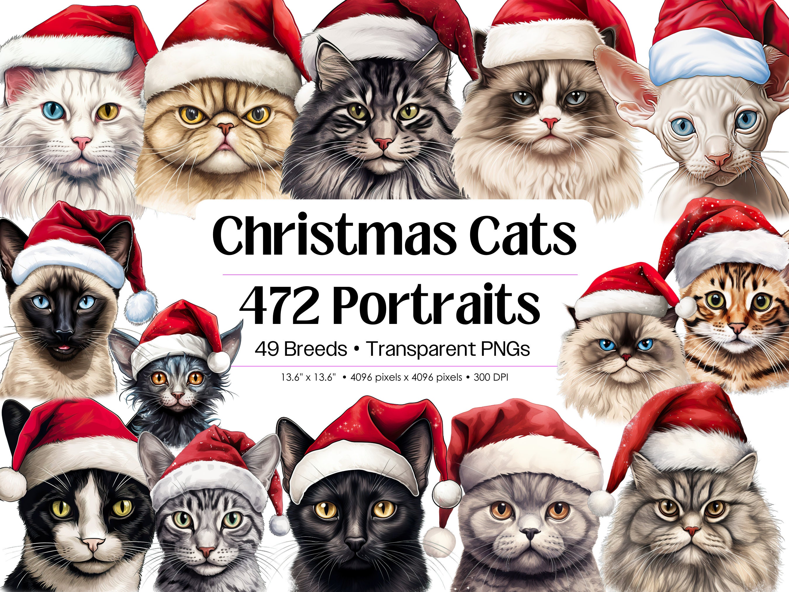 Christmas Cats, 472 Santa Cats and Kittens PNG Clipart Bundle 49 Breeds ...