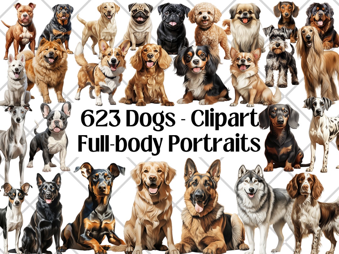 Dog Breeds Watercolor Clipart PNG Bundle · Full Body Puppy Canine ...