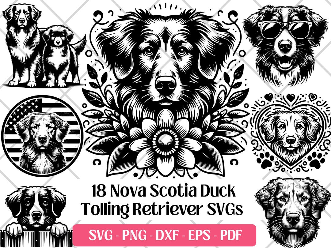 Nova Scotia Duck Tolling Retriever SVG Bundle, Dog Clipart (digital ...