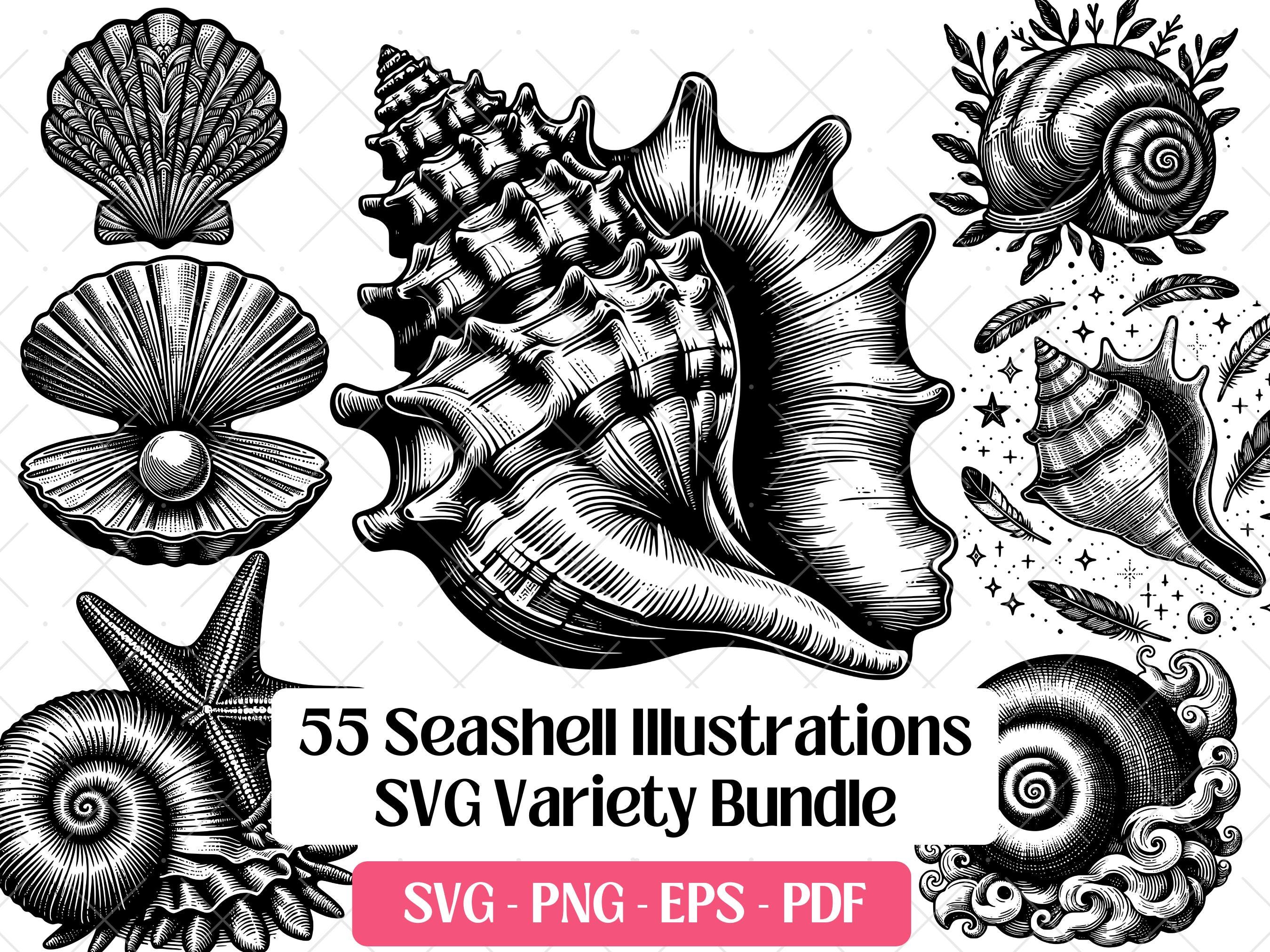 Seashell SVG Bundle Cutting Laser Engraving Files, Beach Nautical Sea ...