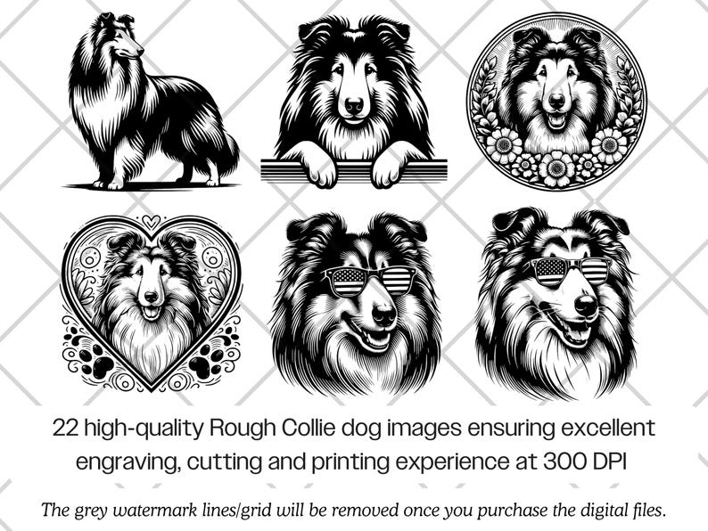 Rough Collie SVG Bundle, Dog Clipart Vector Graphics (png, Dxf, Eps ...