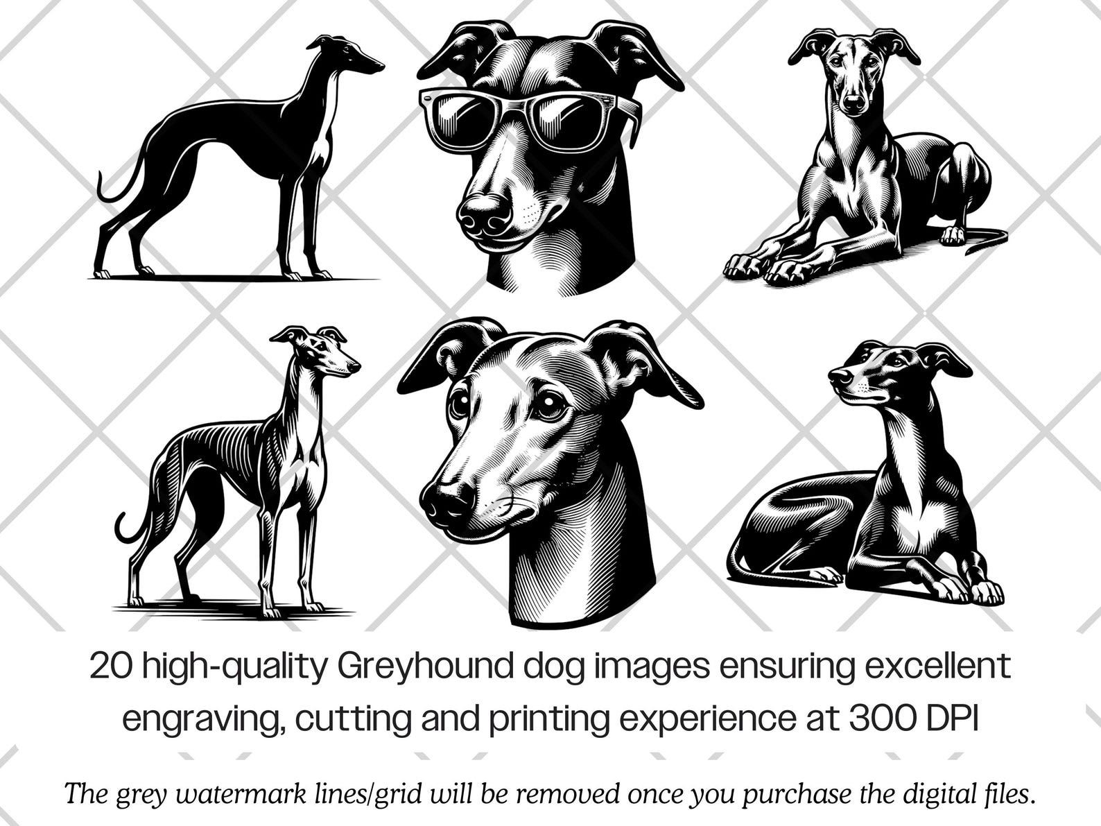Greyhound SVG Bundle, Vector, PNG, Dxf, Eps,pdf, Cutting and Laser ...