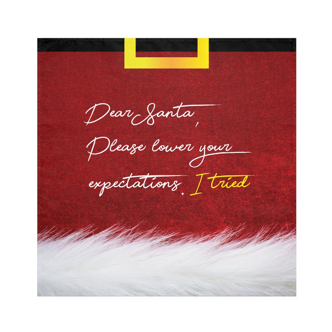 Santa Lower Expectations Napkins - Etsy