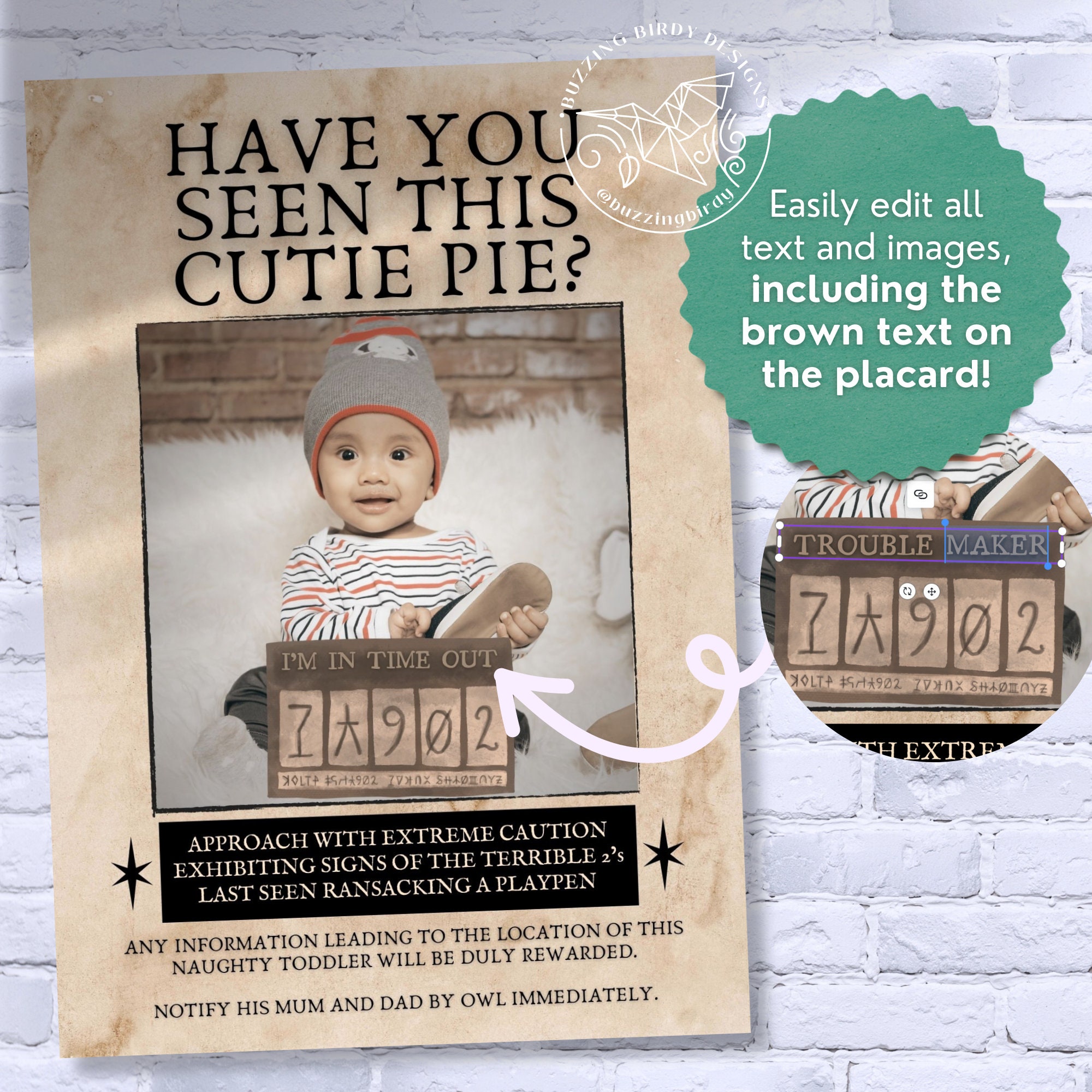 Have You Seen This Wizard Wanted Poster: Editable Canva Template - Etsy