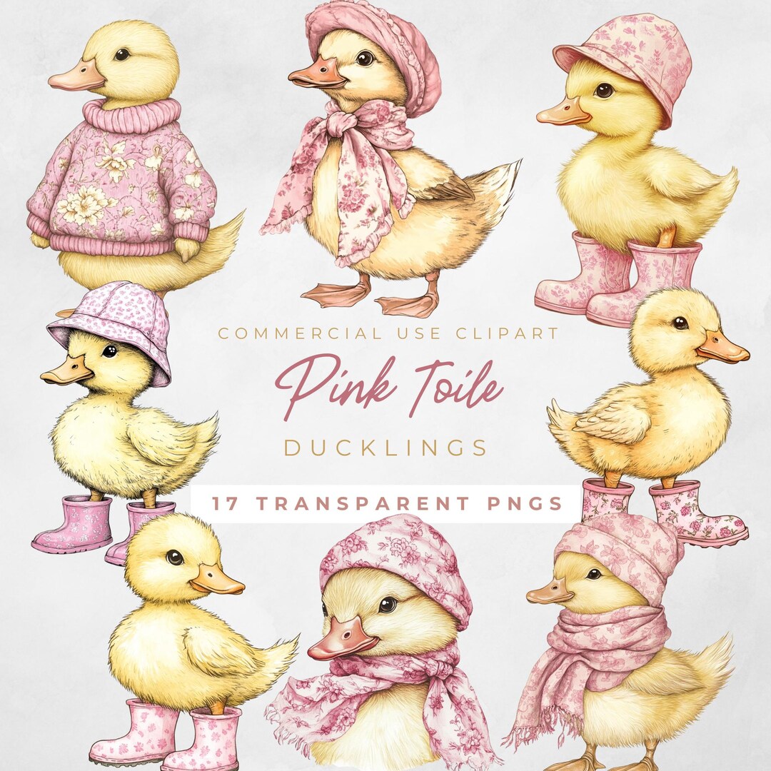 Lucky Duck Clipart Pink Toile Clipart Vintage Duck Clipart Cute Ducks ...
