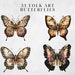 Folk Butterfly Clipart Whimsical Clipart Gouache Clipart Moth Clipart ...