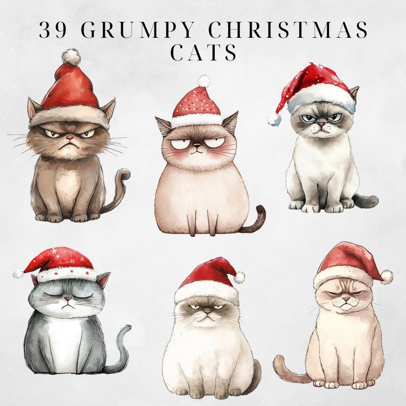 Grumpy Christmas Cat Clipart Funny Cat Clipart Holiday Cat Png Funny ...
