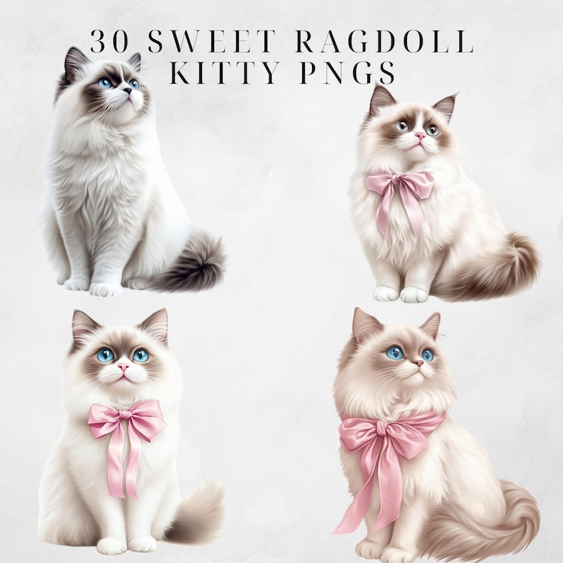 Ragdoll Cat Clipart Ragdoll Clipart Ragdoll Kitten Cute Kitten Clipart ...