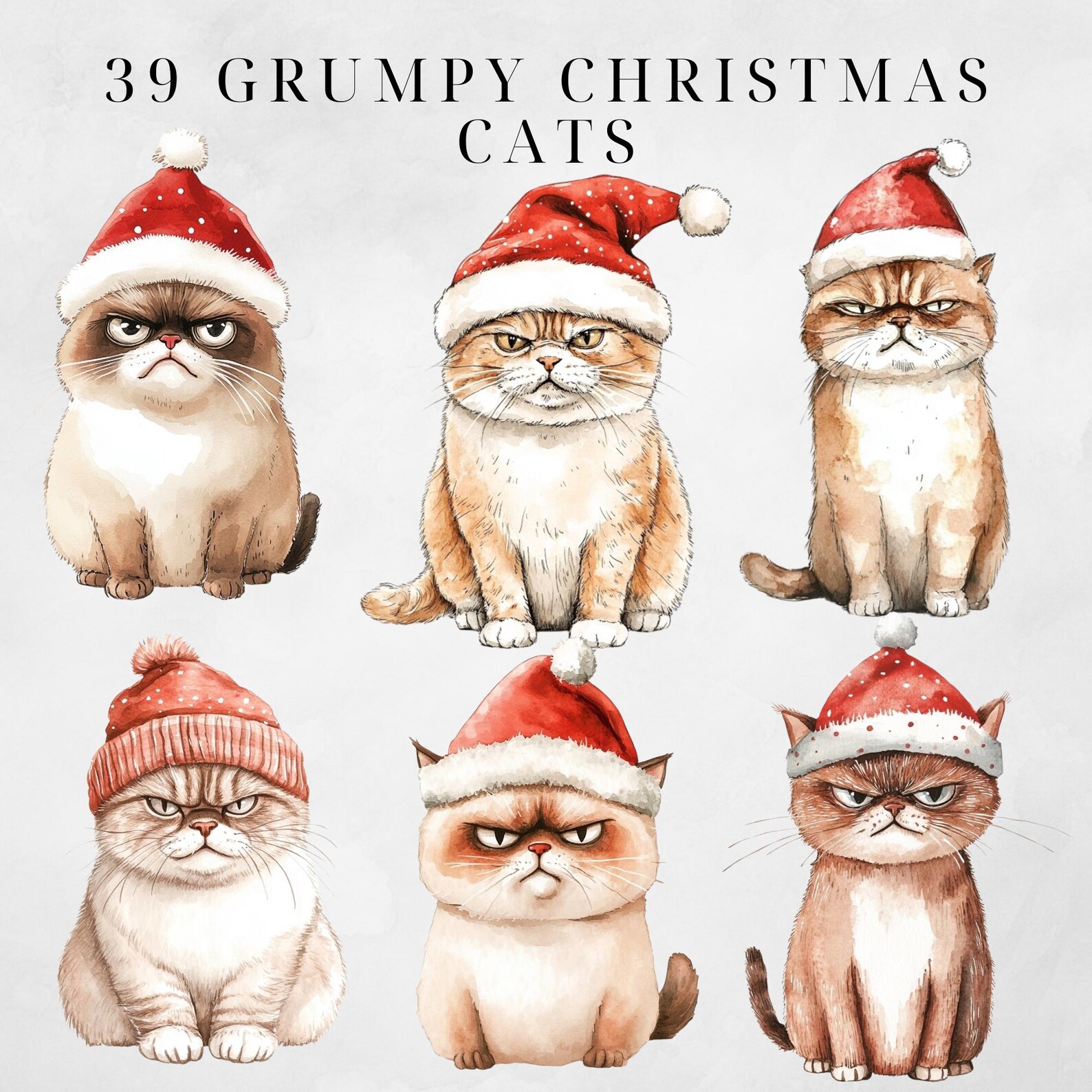 Grumpy Christmas Cat Clipart Funny Cat Clipart Holiday Cat Png Funny ...