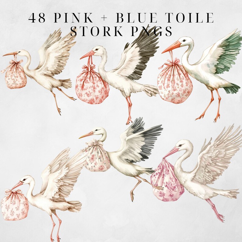 Stork Baby Clipart Stork Baby Shower Toile Baby Shower Clipart Toile De ...
