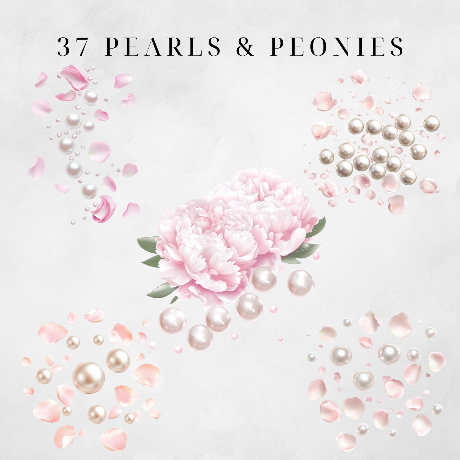 Pink and Pearl Clipart Pink Pearls Clipart Dusty Pink Peonies Clipart ...