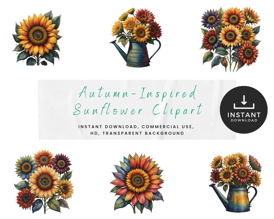 Fall-inspired Sunflower Clipart Rainbow Watercolor Sunflower - Etsy
