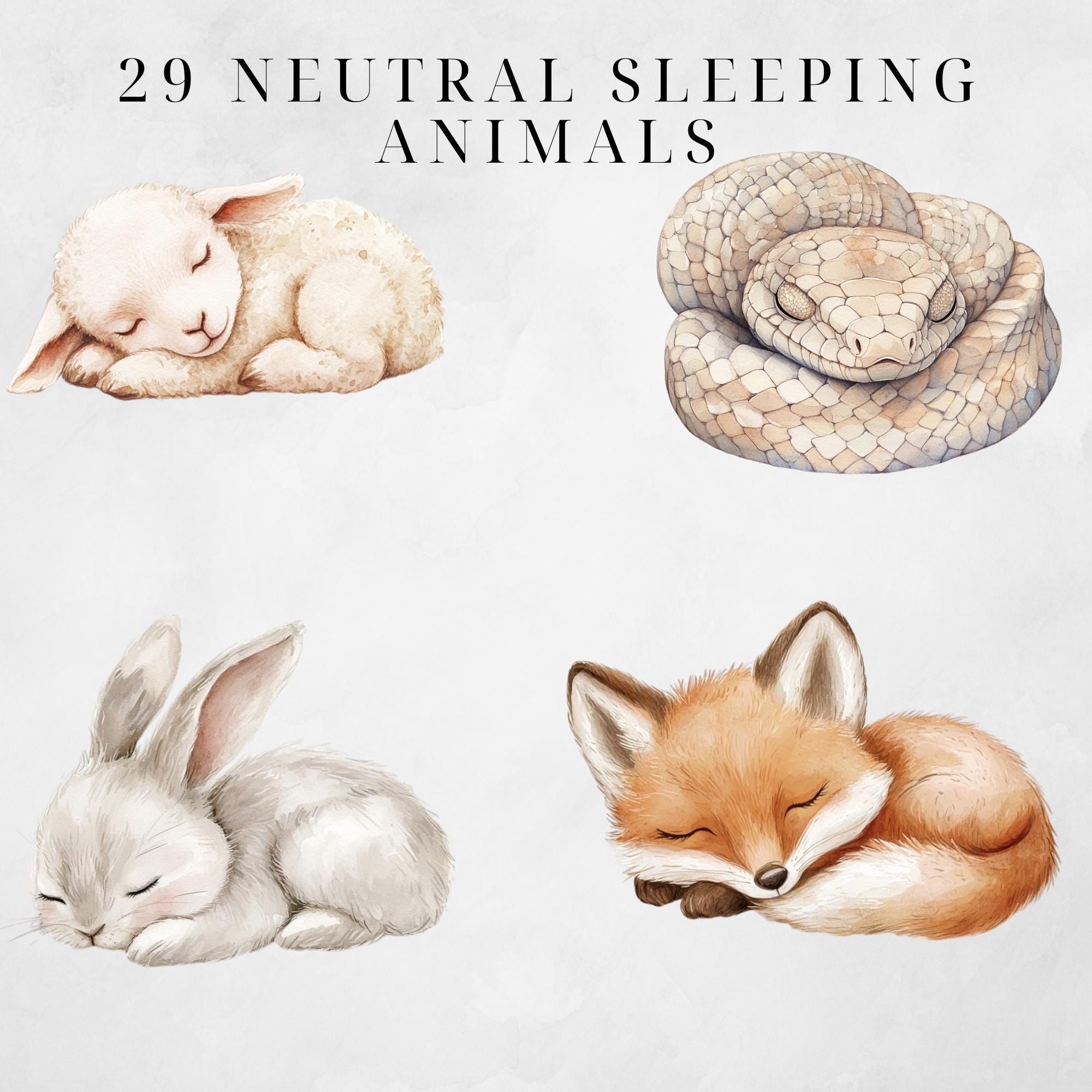 Neutral Sleeping Animals Clipart Sleeping Bunny Clipart Sleeping Baby ...