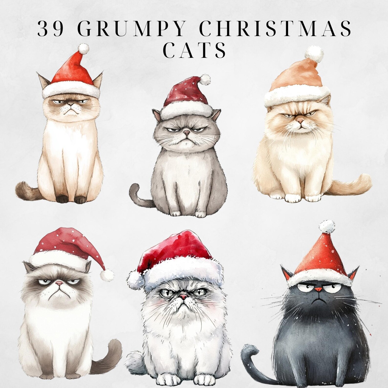 Grumpy Christmas Cat Clipart Funny Cat Clipart Holiday Cat Png Funny ...