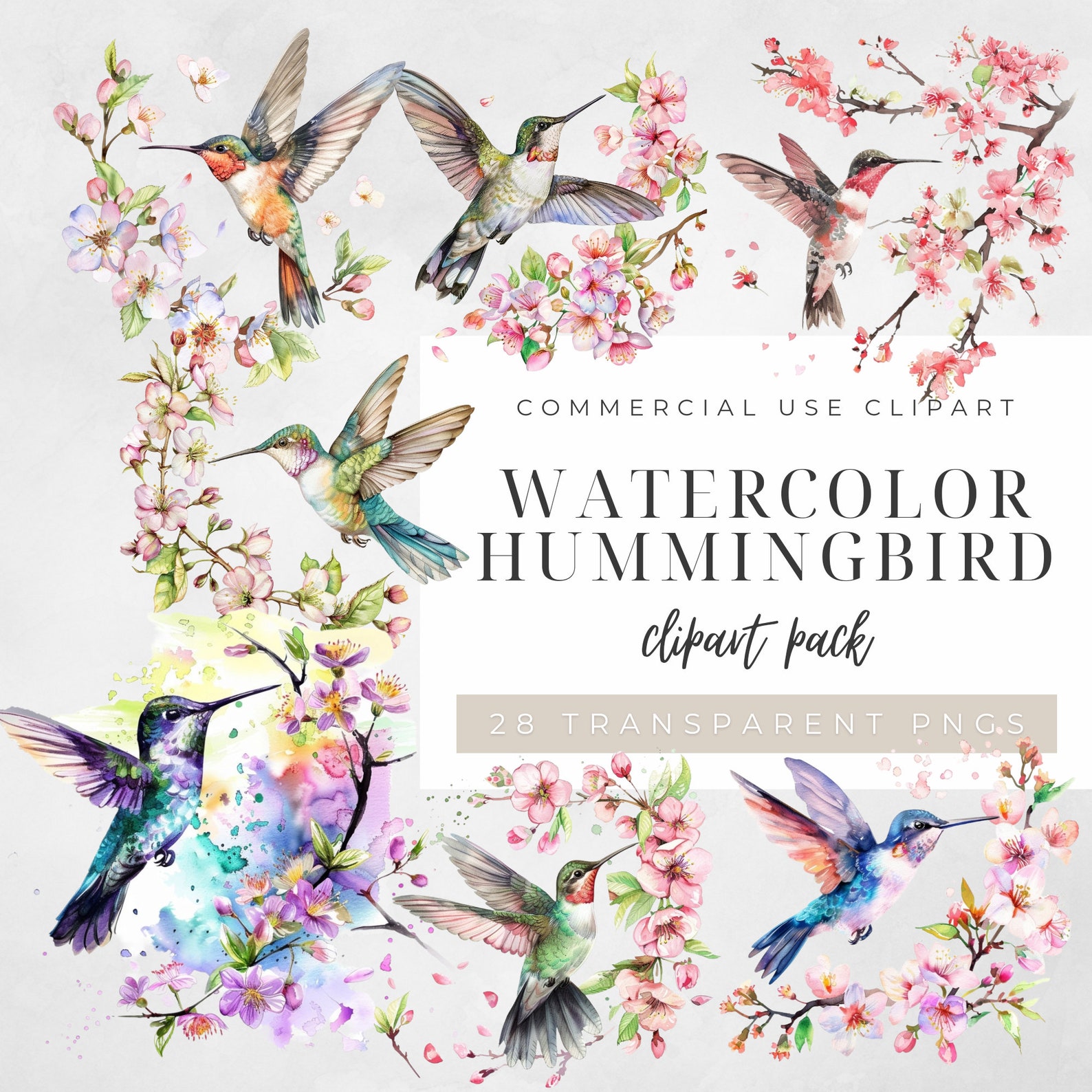 Hummingbird Watercolor Clipart Hummingbird Clipart - Watercolor ...