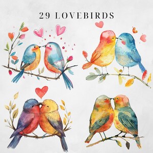 Love Birds Clipart Png Valentine Watercolor Clipart Png Couple Birds ...