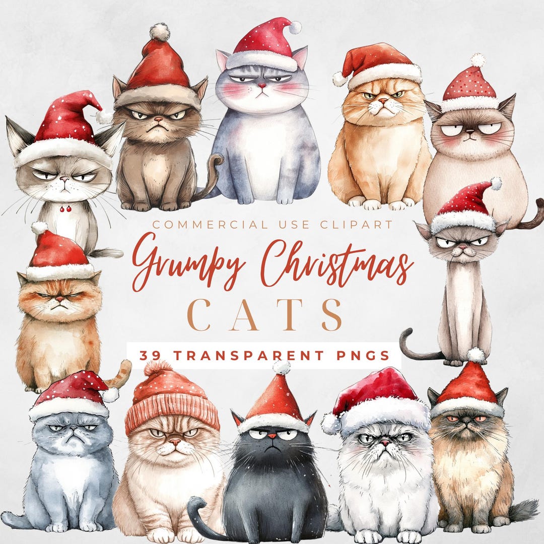 Grumpy Christmas Cat Clipart Funny Cat Clipart Holiday Cat Png Funny ...