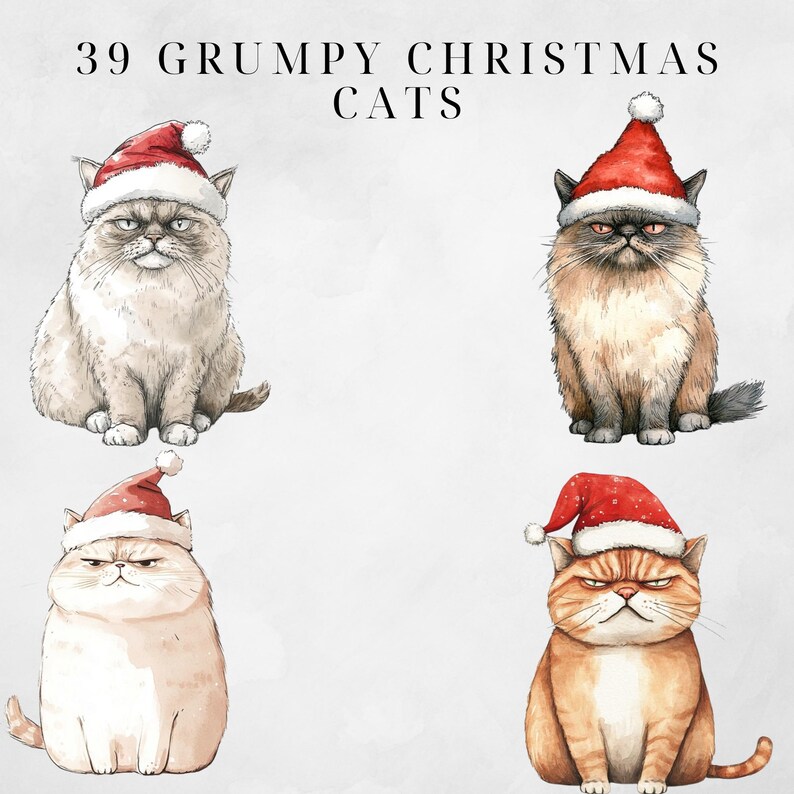 Grumpy Christmas Cat Clipart Funny Cat Clipart Holiday Cat Png Funny ...